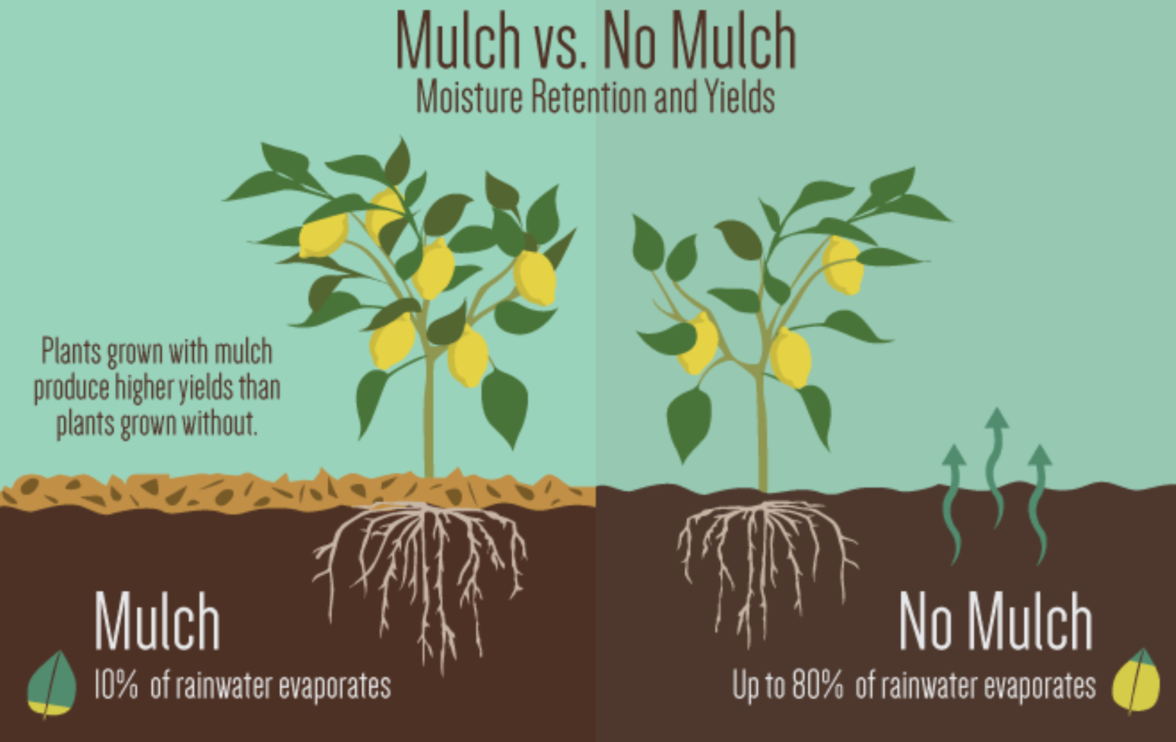 Why Mulch? - Planted Earth Landscaping
