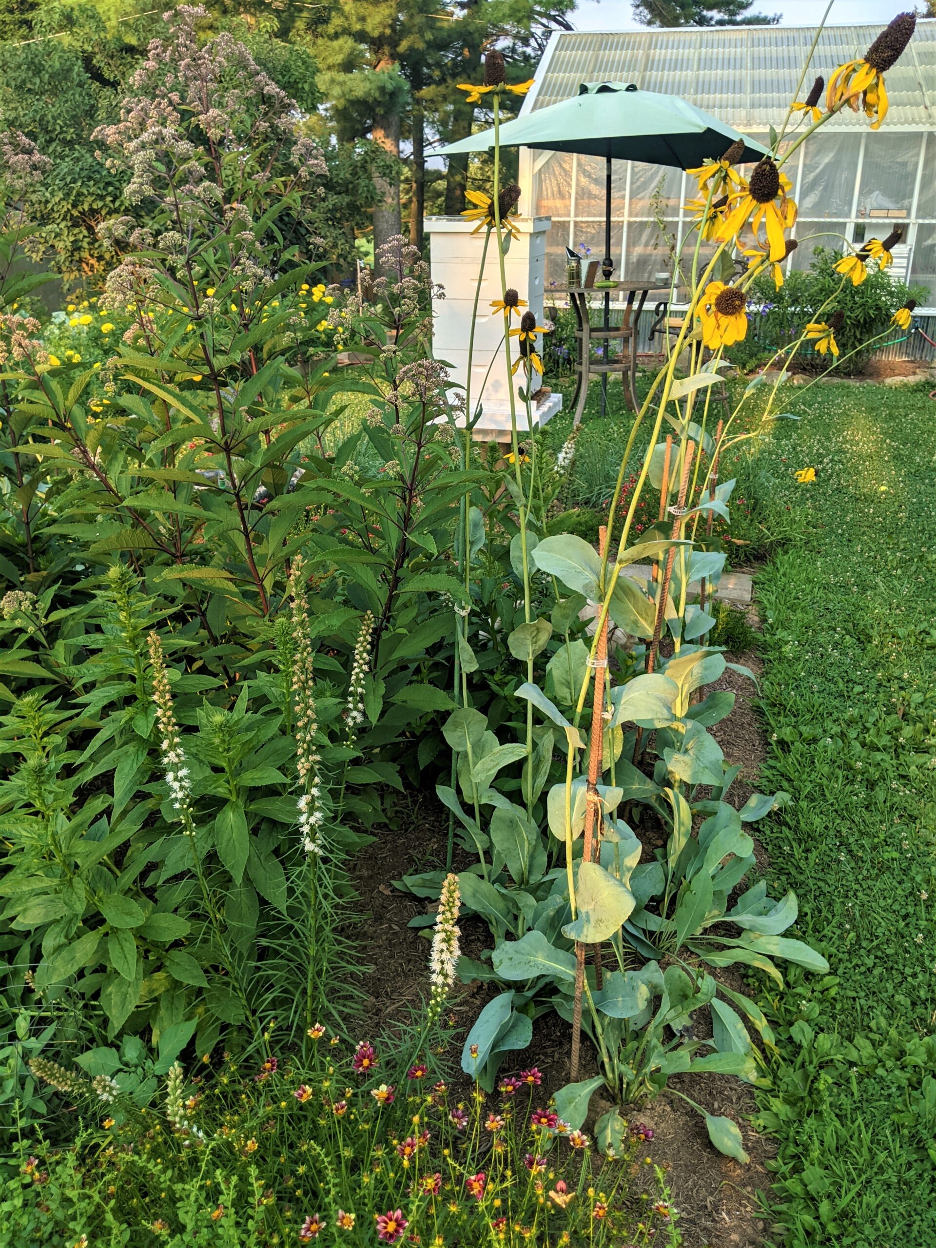 Bee-Friendly Garden - Planted Earth Landscaping