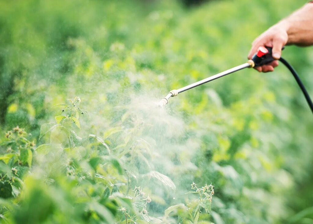 Introduction to Integrated Pest Management (IPM) - Planted Earth ...