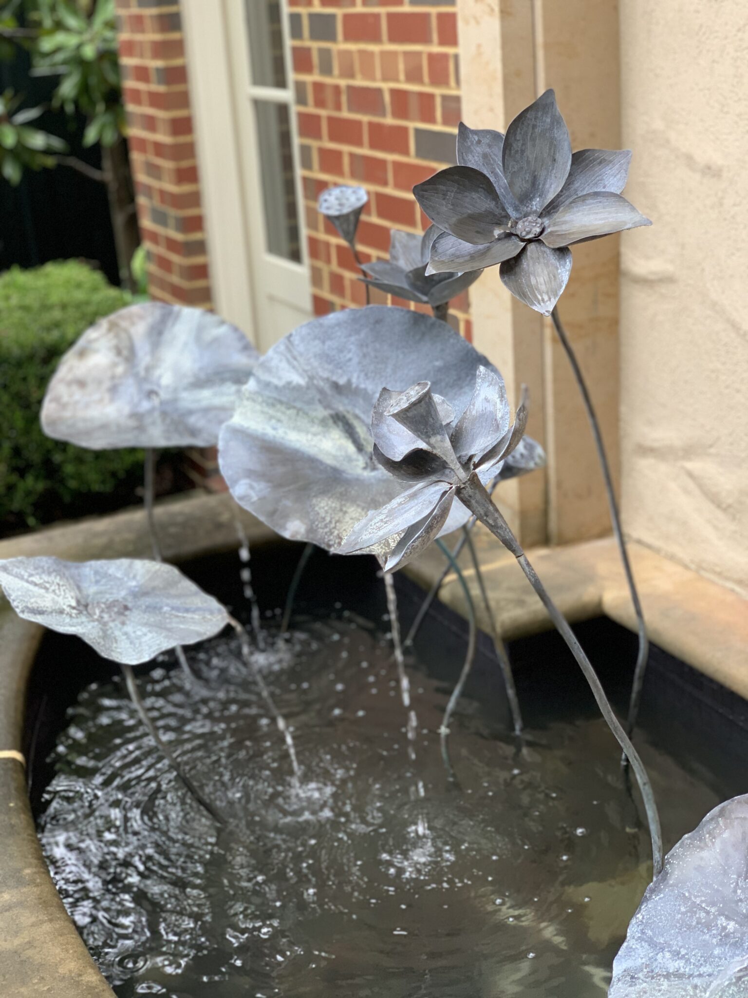 Keep Your Pond Thriving with DC Ponds - Planted Earth Landscaping